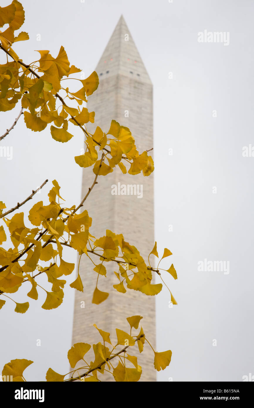 Washington monument autumn leaves hi-res stock photography and images ...