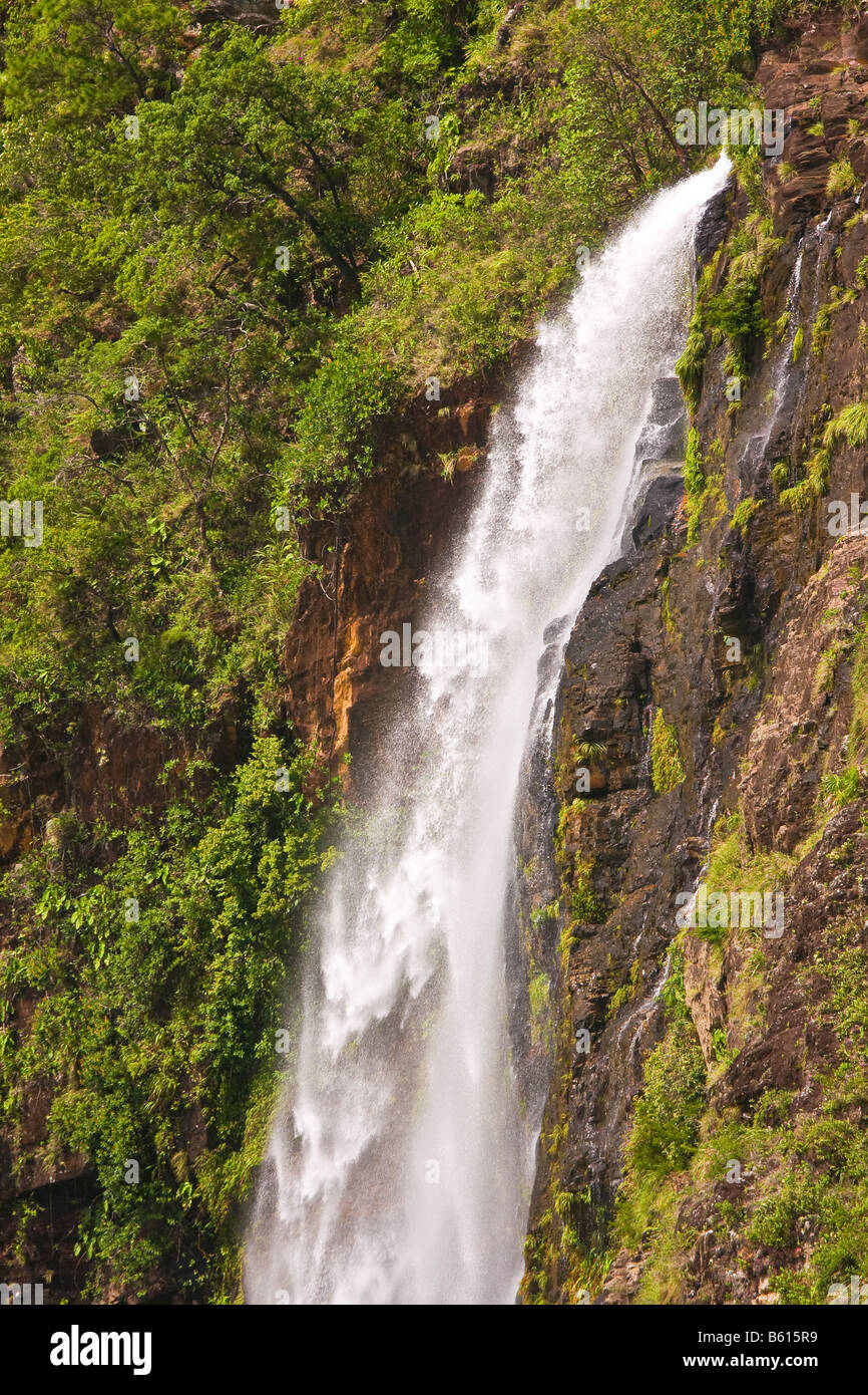 CAYO DISTRICT BELIZE Thousand Foot Falls in the lush Mountain Pine ...