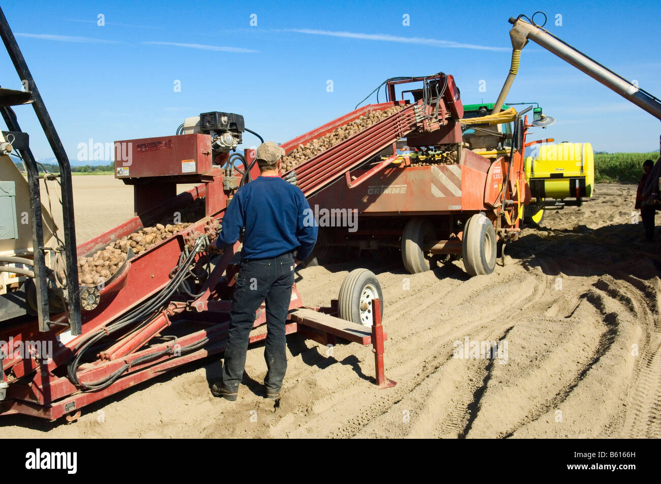 Tractor operator reloads the planter with potato seed and fertilizer ...