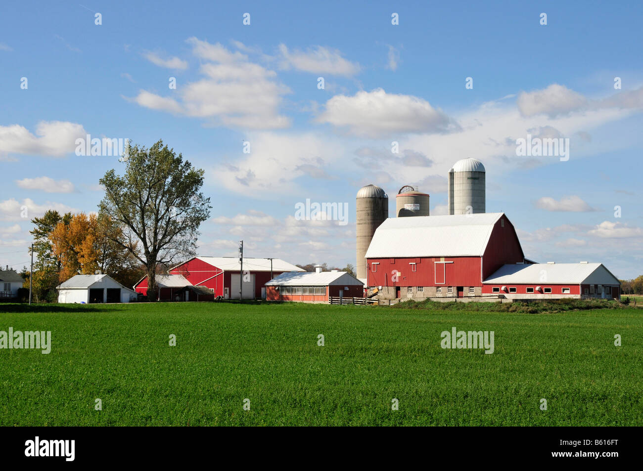 Red barn in southeast Minnesota Stock Photo - Alamy
