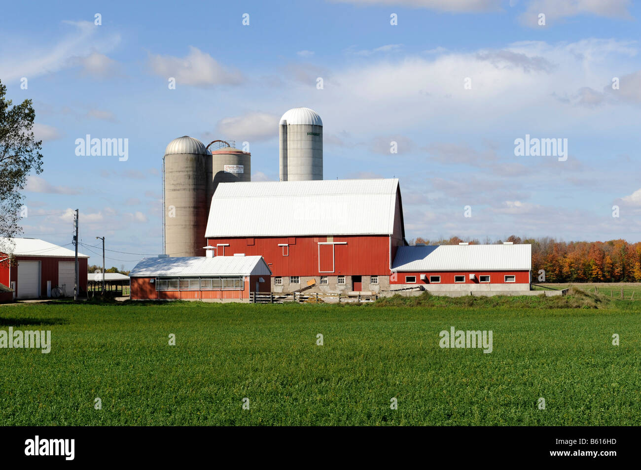 Red barn in southeast Minnesota Stock Photo - Alamy