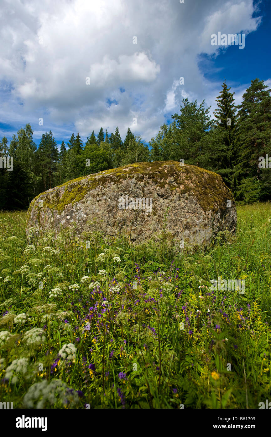 Glacial erratic boulder between Sagadi and Palmse, Lahemaa National ...