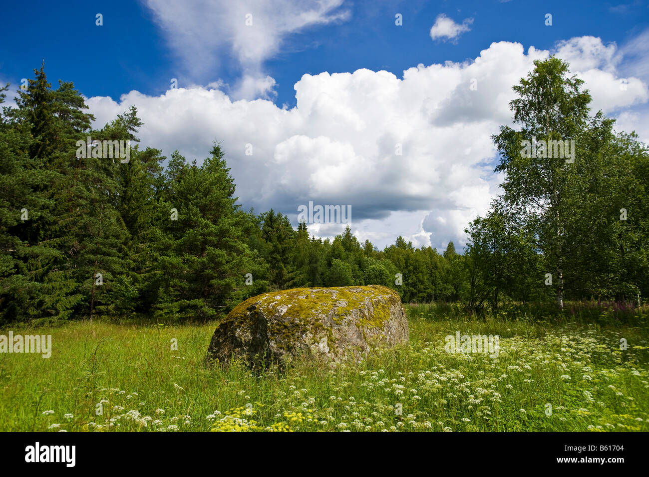 Glacial erratic boulder between Sagadi and Palmse, Lahemaa National ...