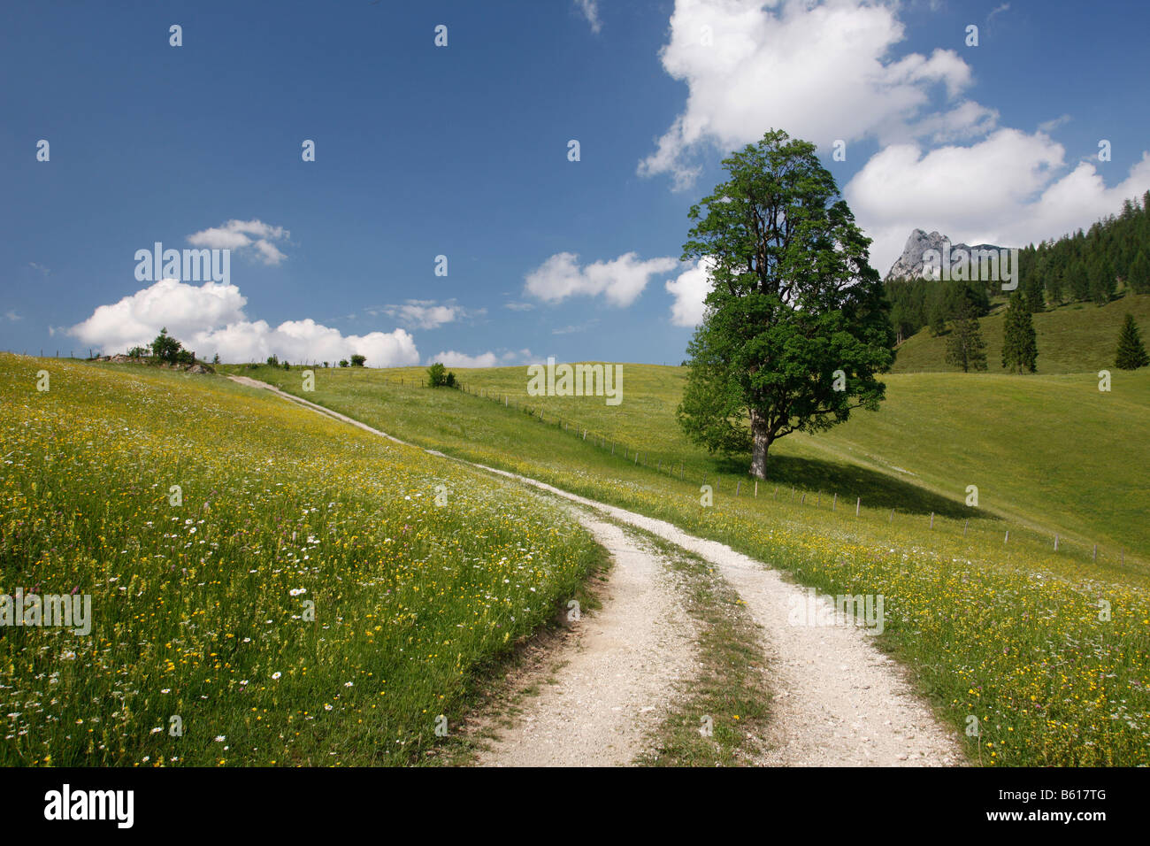 Alpine pathway hi-res stock photography and images - Alamy
