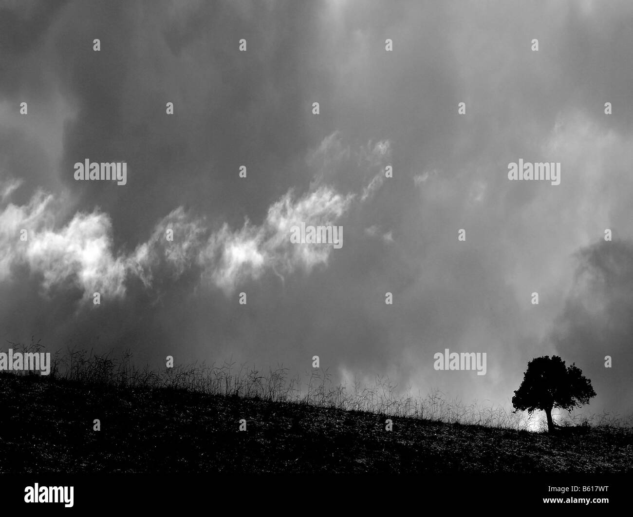 Braving the storm hi-res stock photography and images - Alamy