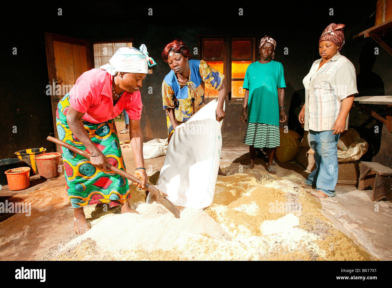 Women preparing grain for pig food, Bamenda, Cameroon, Africa Stock ...