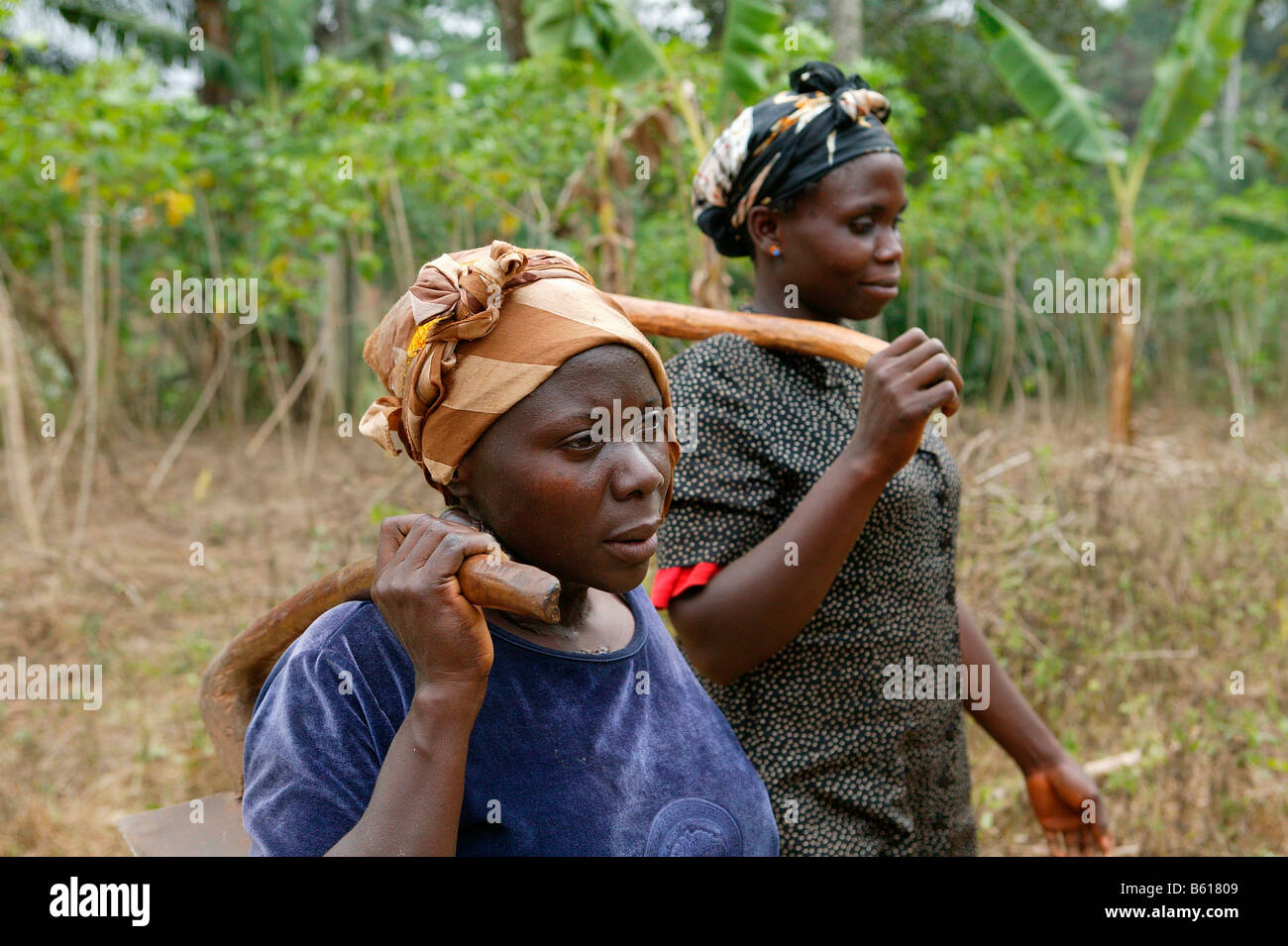 African women working in fields hi-res stock photography and images - Alamy