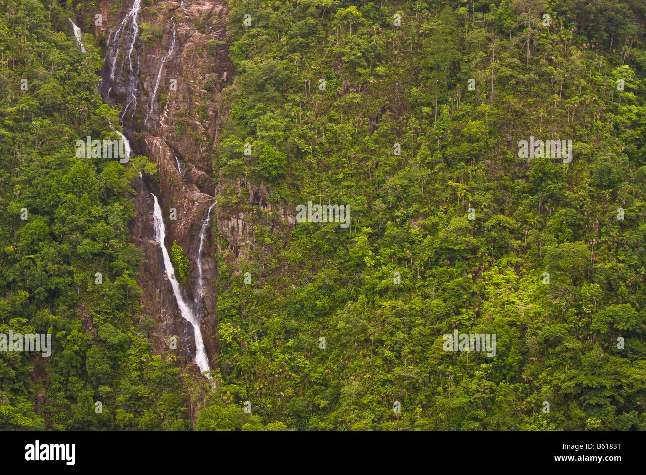 CAYO DISTRICT BELIZE King Vulture Falls in Mountain Pine Ridge Forest ...