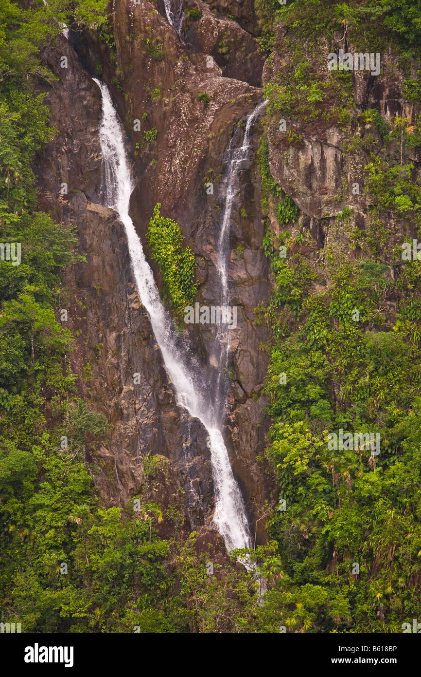 CAYO DISTRICT BELIZE King Vulture Falls in Mountain Pine Ridge Forest ...