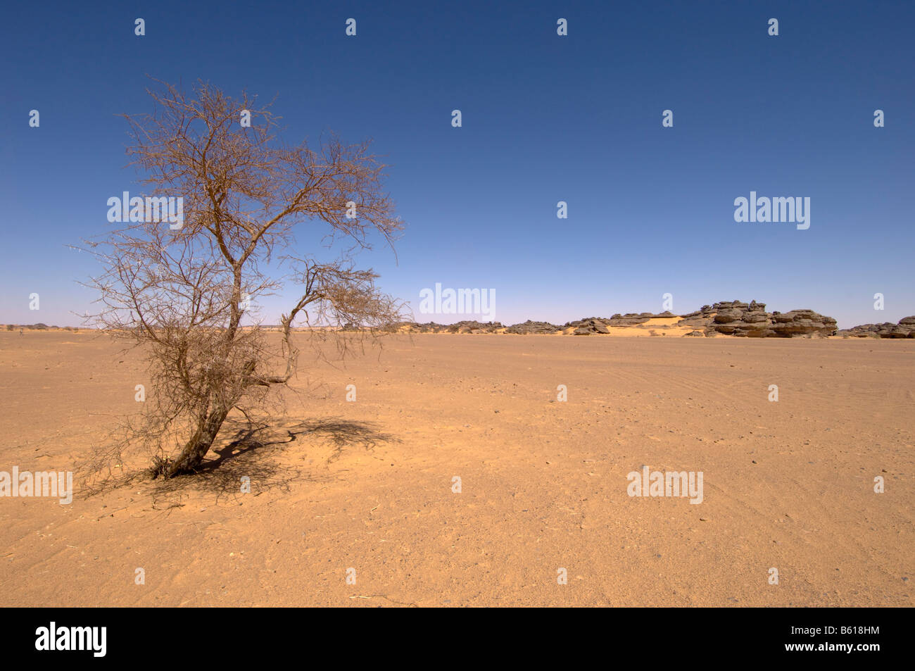 Akakus Sahara desert Fezzan Libya Stock Photo - Alamy