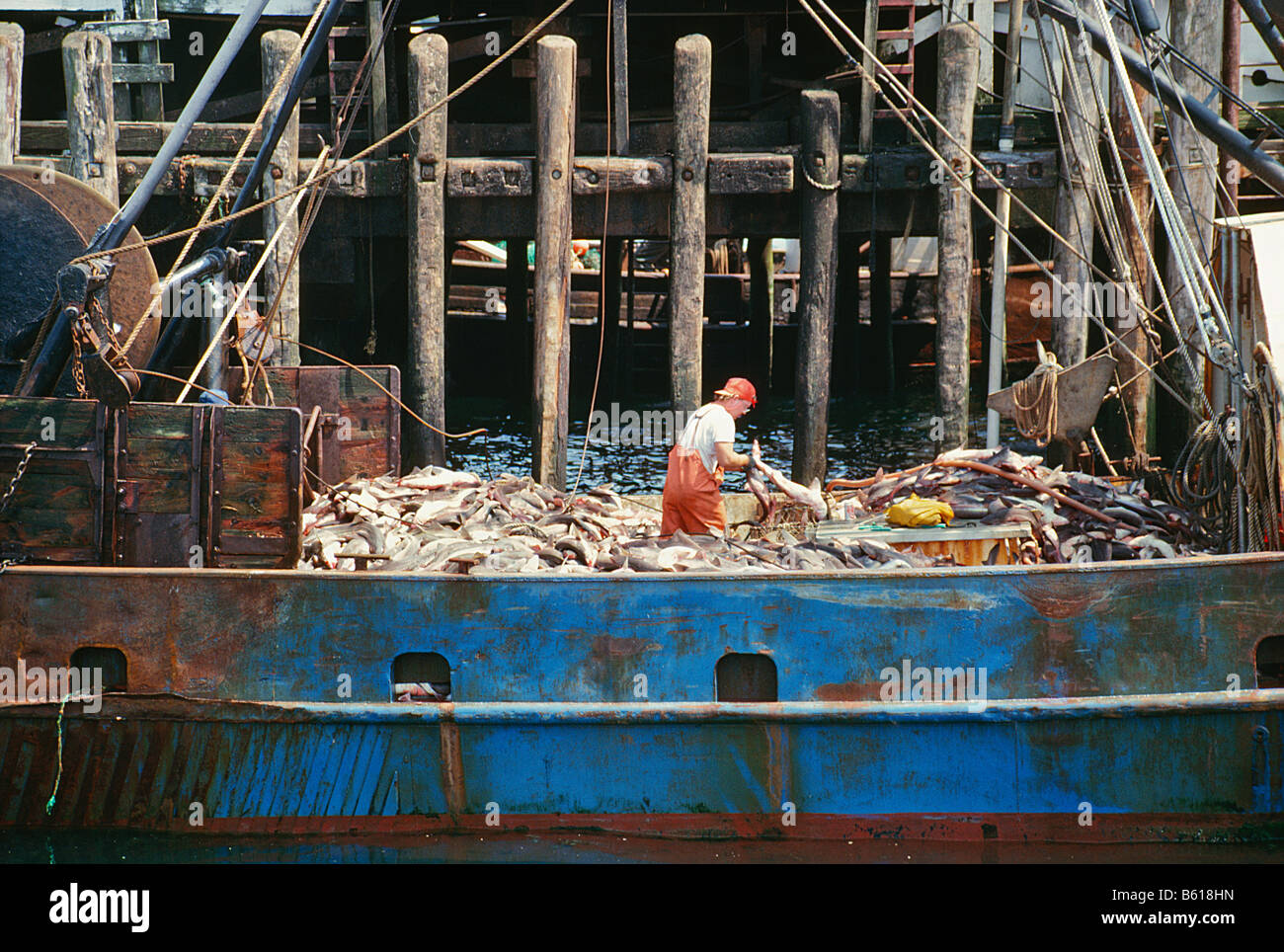 Provincetown,Massachusetts;Cape Cod Fisherman working on fishing ...