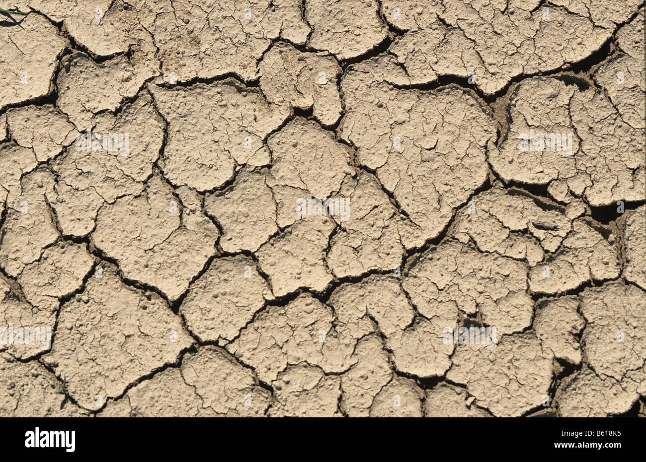 Drought soil hi-res stock photography and images - Alamy