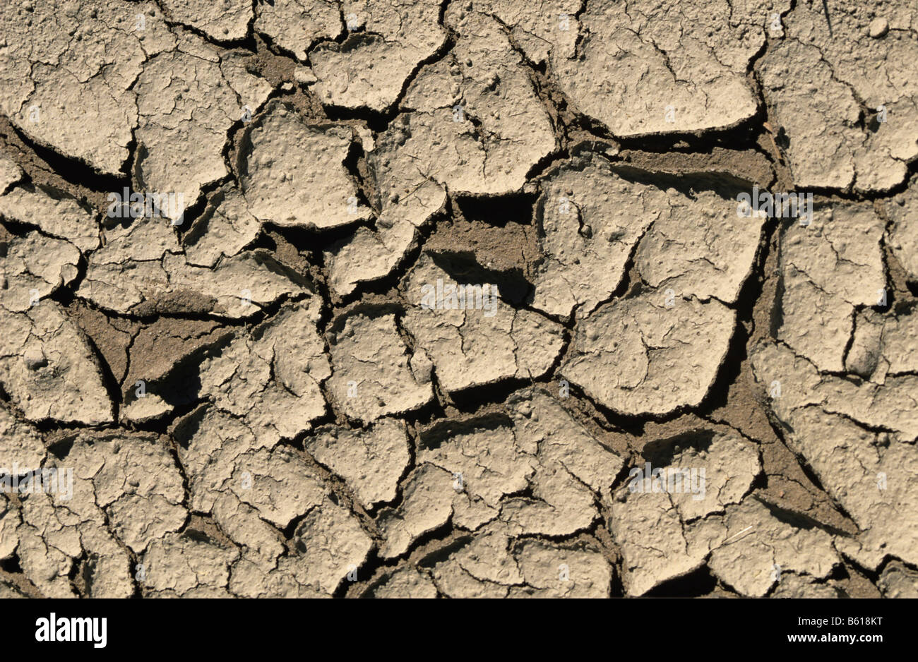 Dried out soil caused by drought and lack of water Stock Photo - Alamy