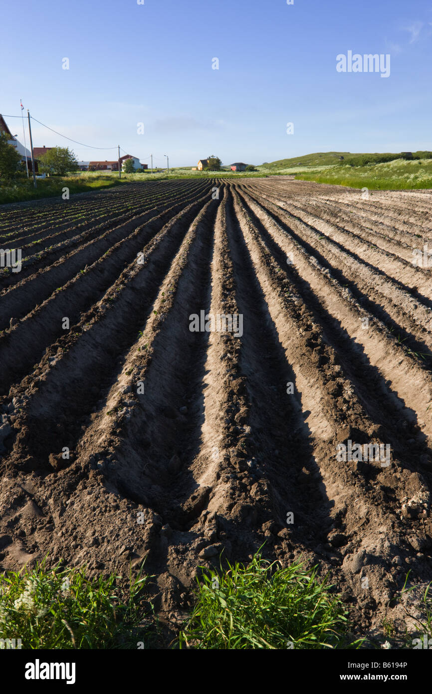 Ploughed field at Fredvang Norway - wide angle shot with ridges ...
