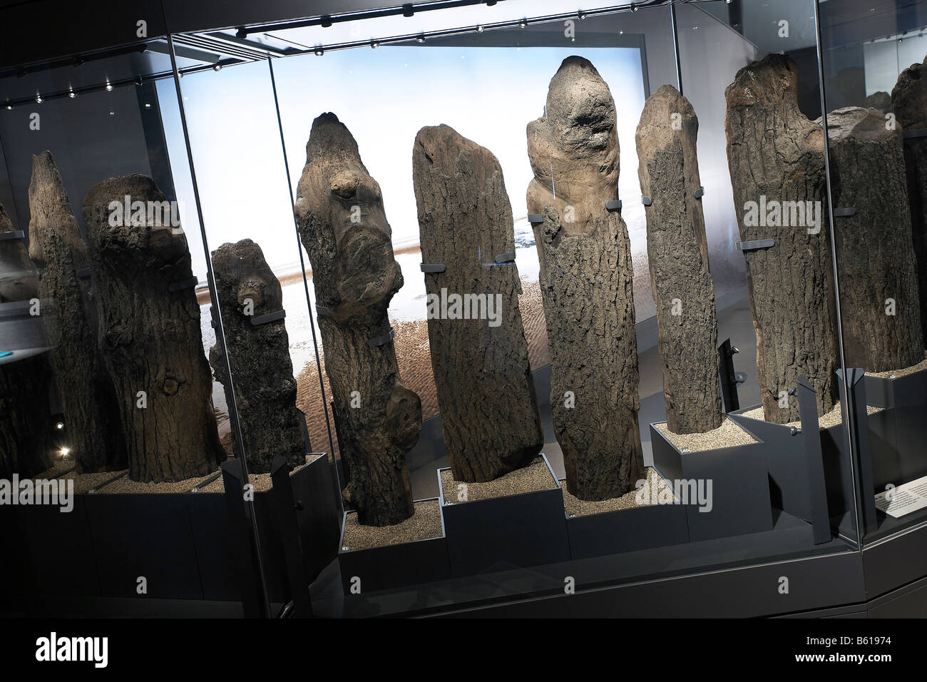 Lynn museum hi-res stock photography and images - Alamy