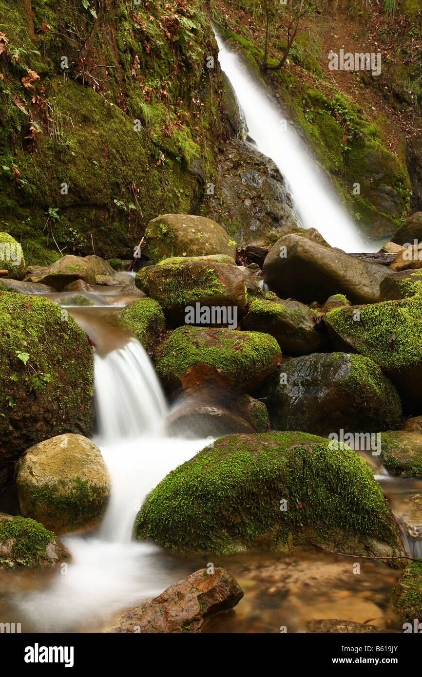 two little waterfalls decorated with green moss covered rocks Stock Photo - Alamy