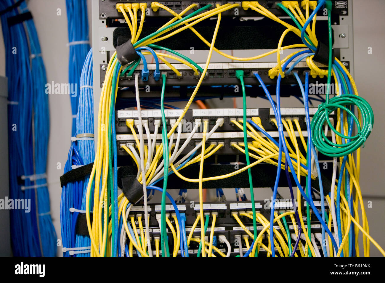 Closeup of various cables connected to a server Stock Photo - Alamy