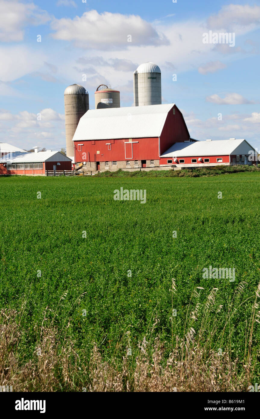 Red barn in southeast Minnesota Stock Photo - Alamy