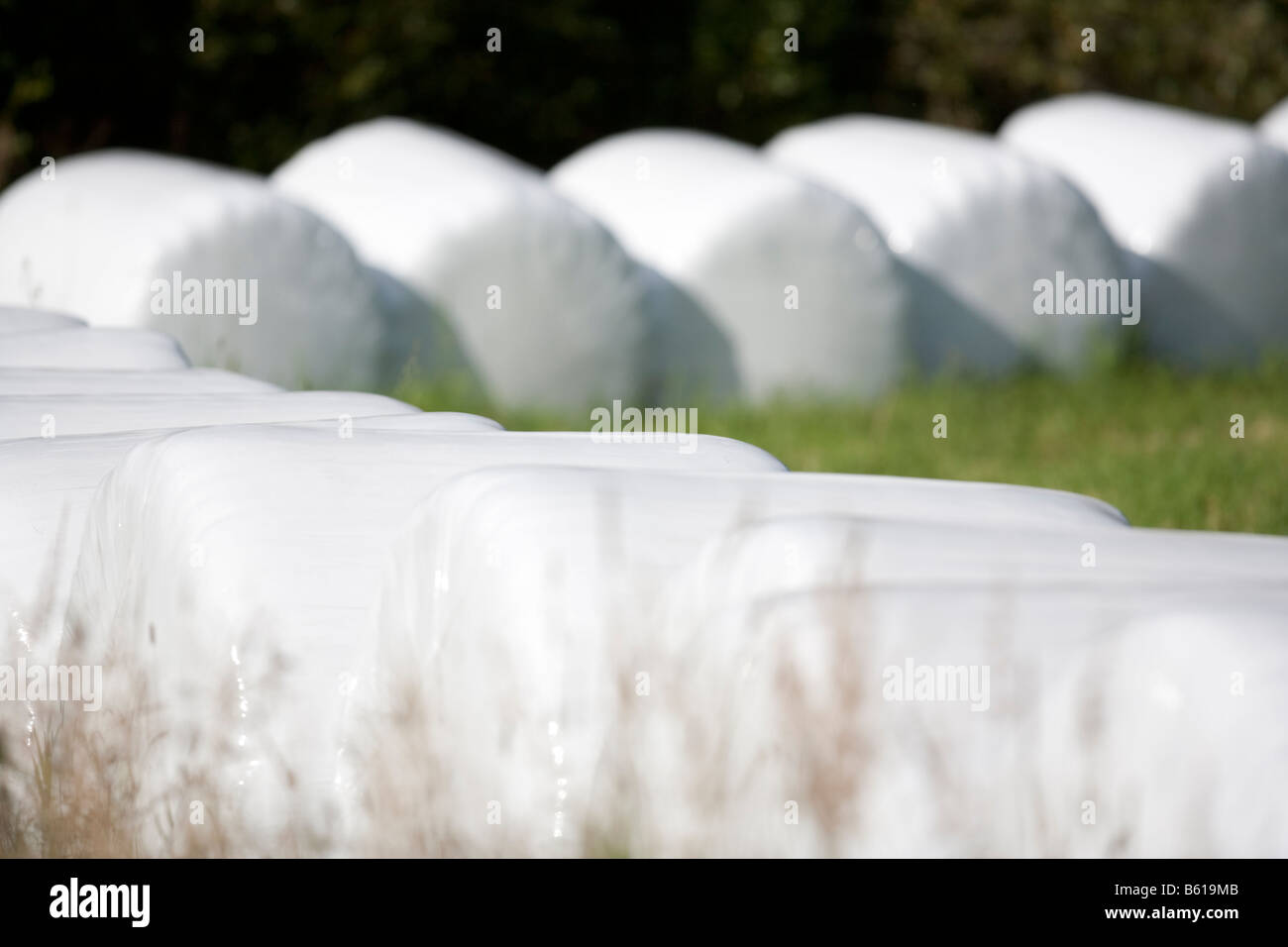 White Plastic Covered Bales Hay High Resolution Stock Photography and ...