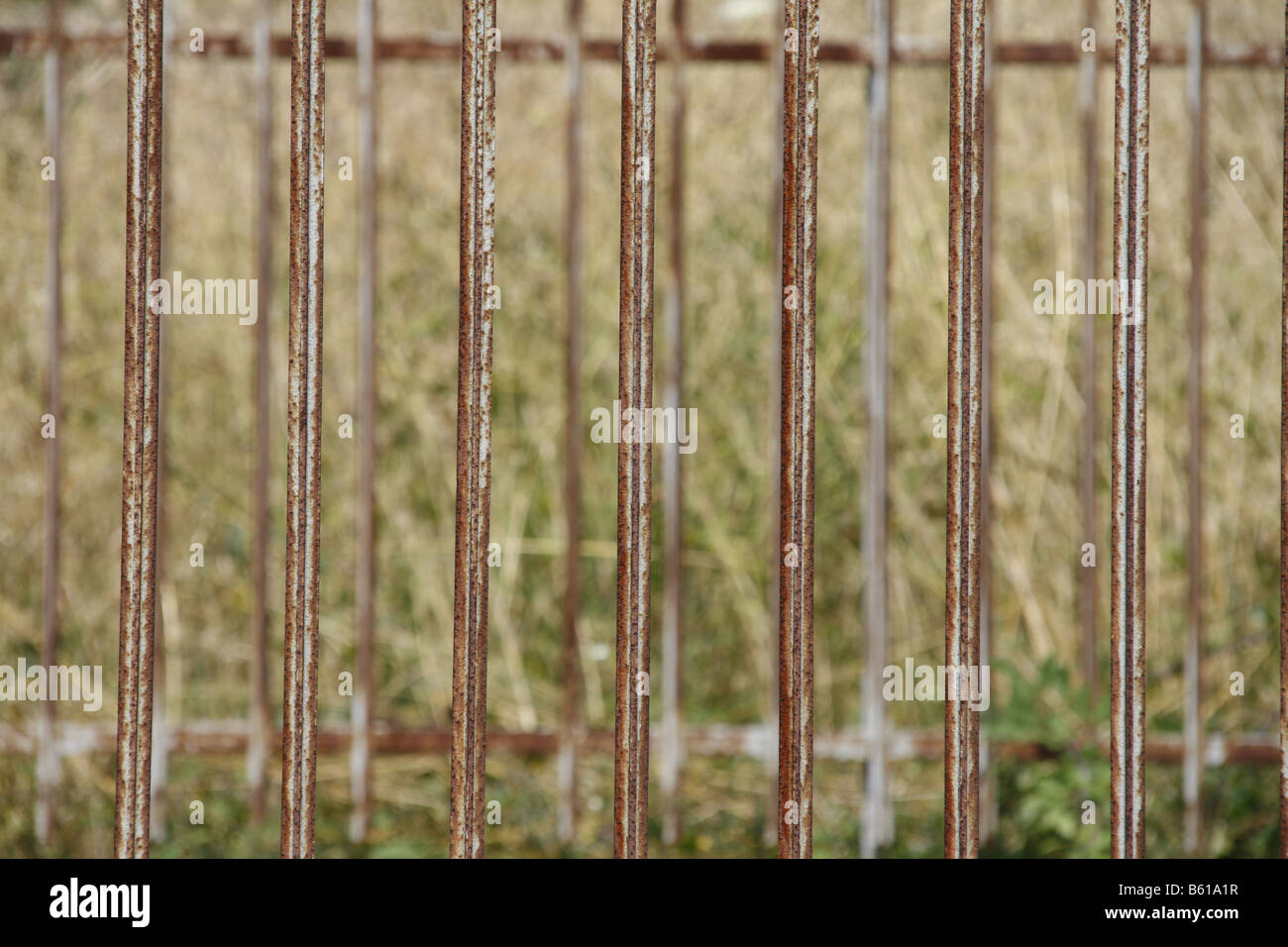 old rusty railings fence and long grass outdoors Stock Photo - Alamy