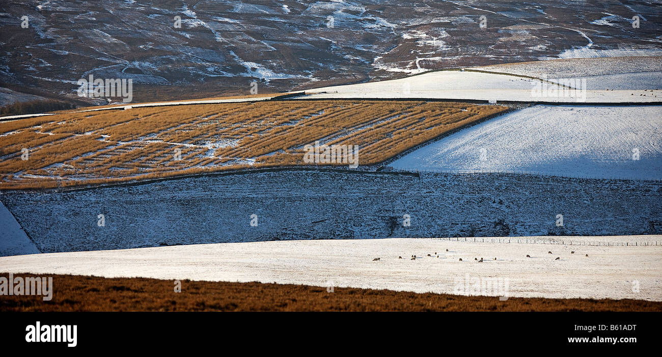 landscape outside Longformacus.The Borders . Scotland Stock Photo - Alamy