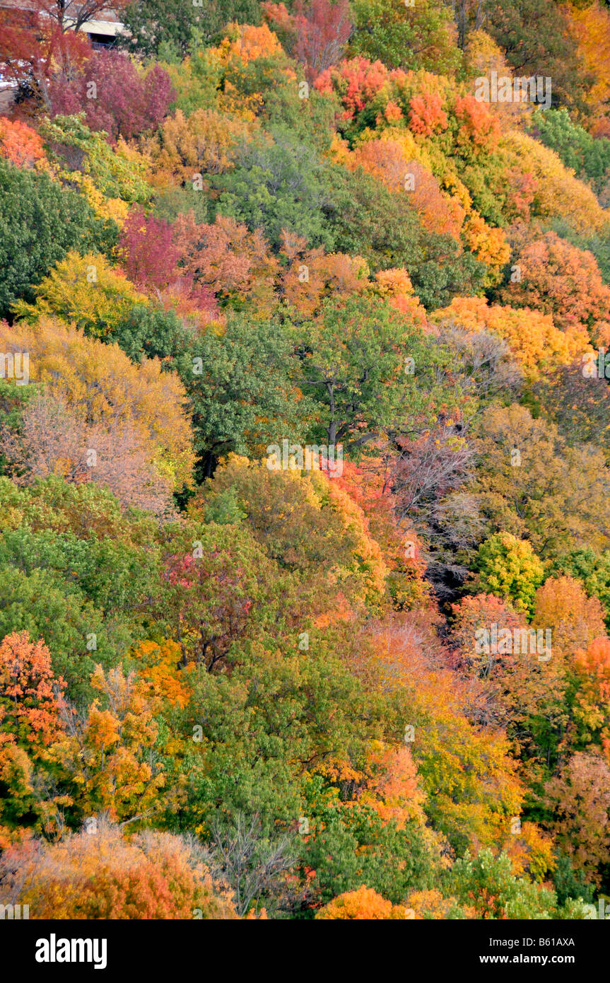 Ohio aerial view of trees with fall colors Stock Photo - Alamy