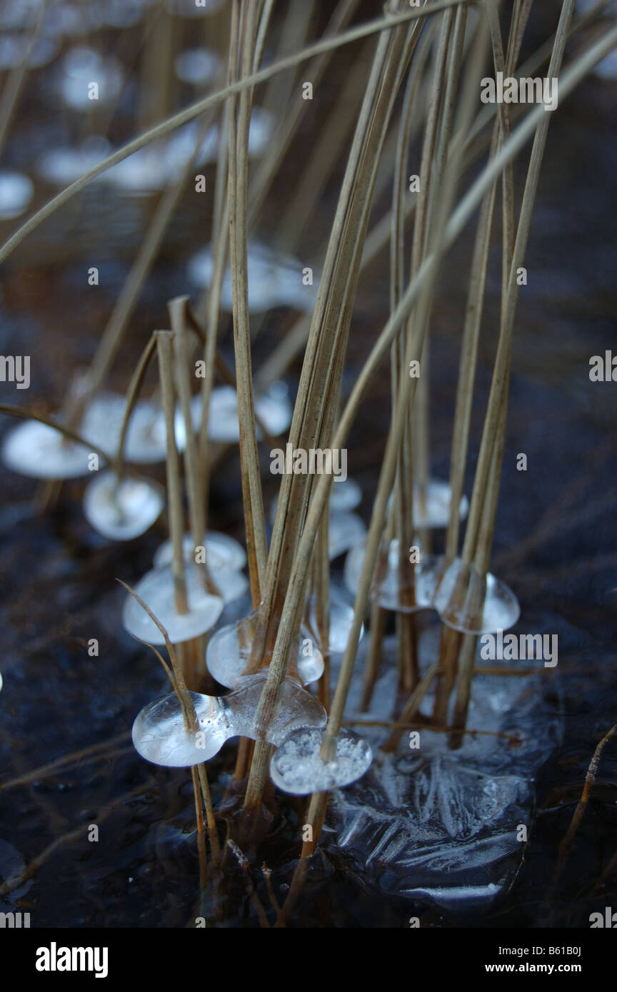 River ice forms hi-res stock photography and images - Alamy