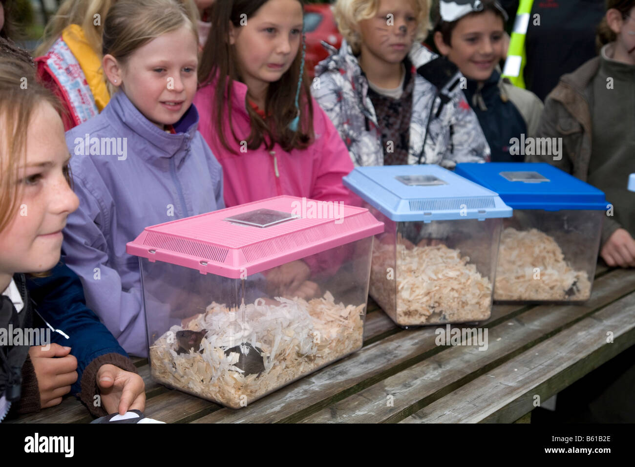meeting water voles Arvicola terrestris water vole day relubbus ...