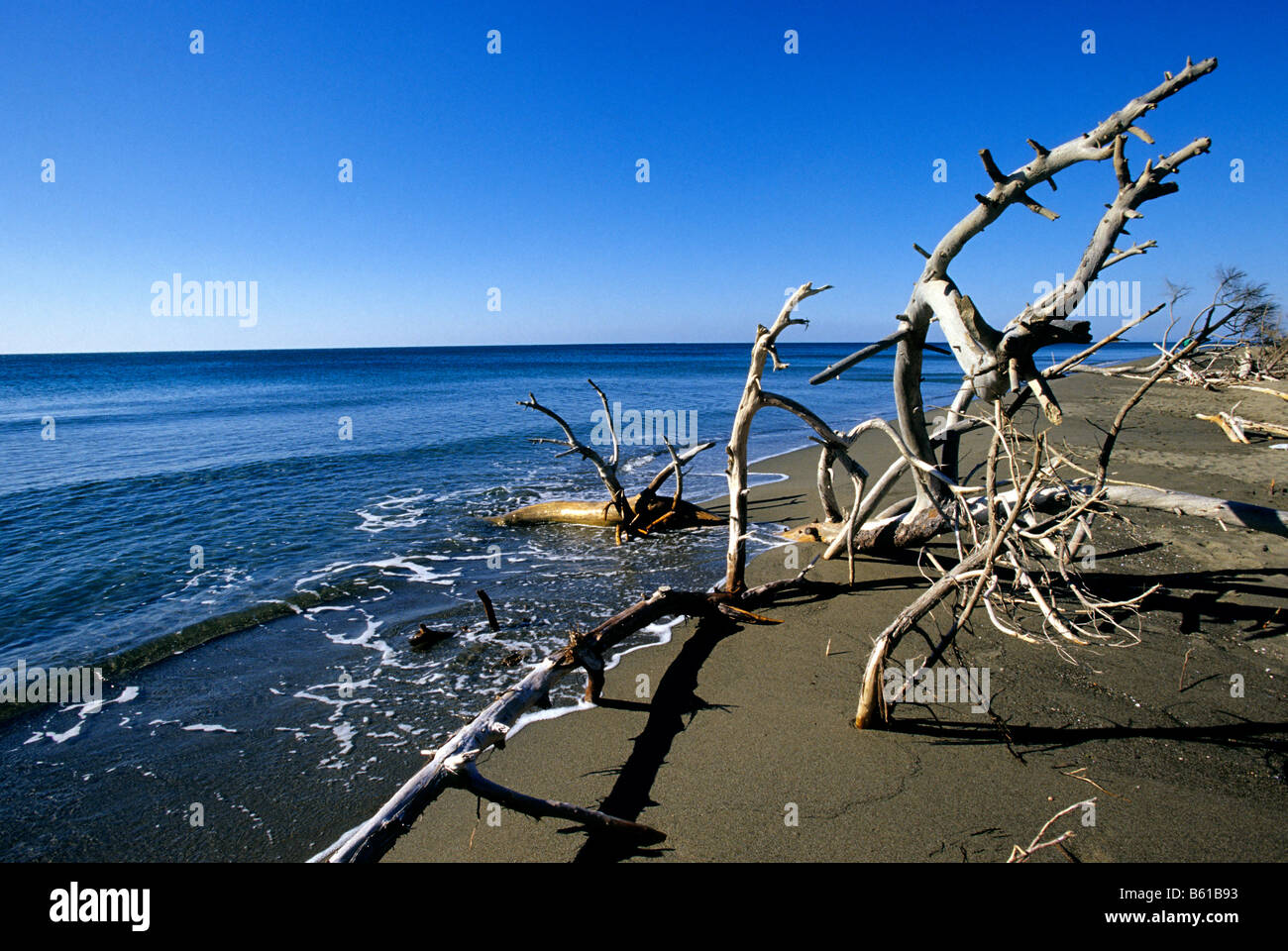 Sea coast in Maremma National Park in Tuscany Italy Stock Photo - Alamy