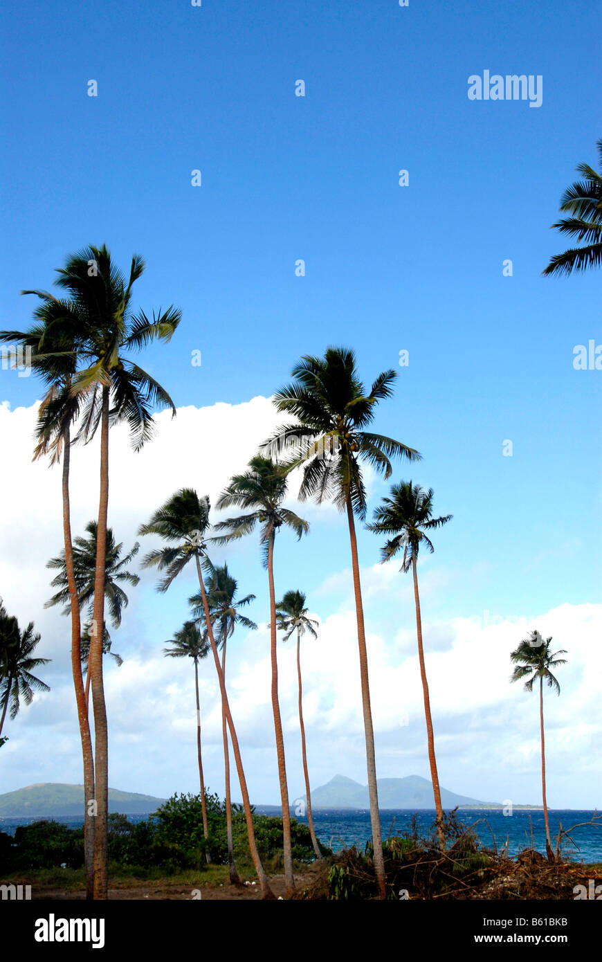 Landscape, Efate island, Vanuatu Stock Photo - Alamy