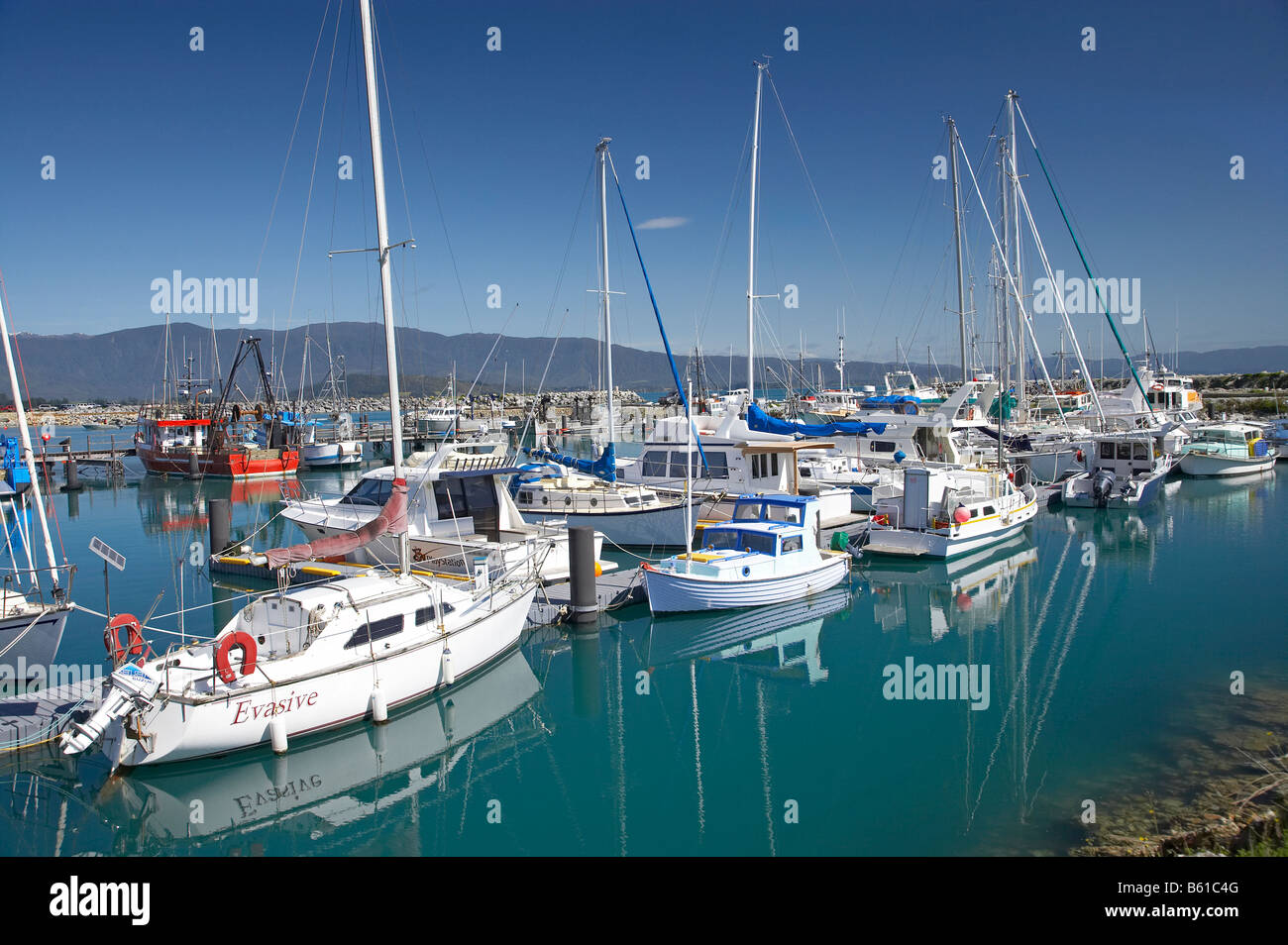 Port golden bay new zealand hi-res stock photography and images - Alamy