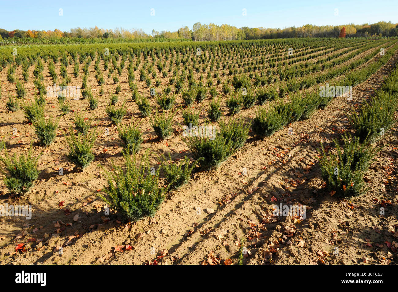 Niagara region hi-res stock photography and images - Alamy