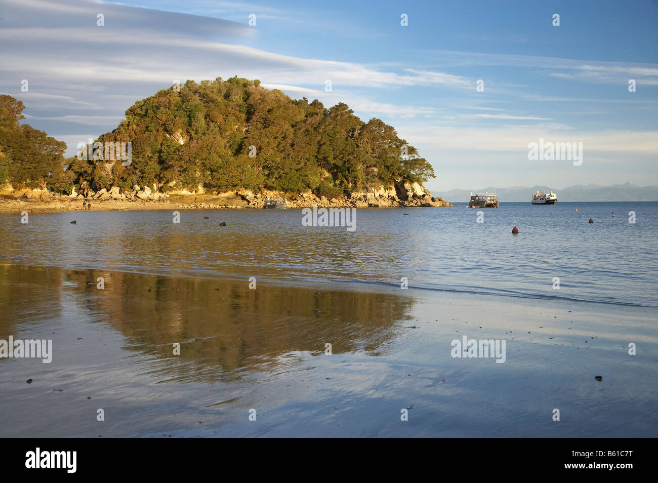 Kaka Island Kaiteriteri Nelson Region South Island New Zealand Stock ...