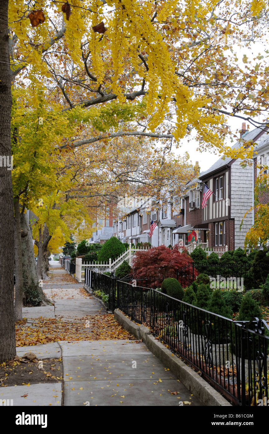 Tree Lined Neighborhood Street