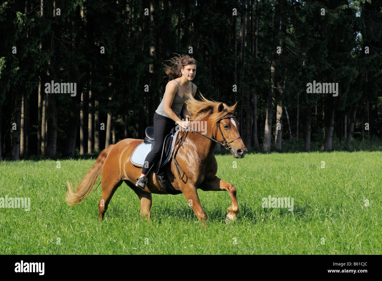 Riding girl teenager pony gallop hi-res stock photography and images ...