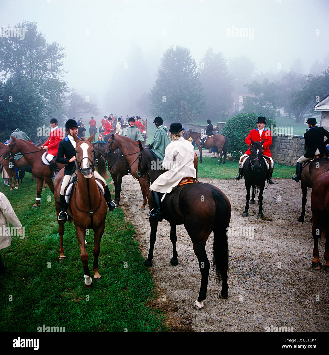 Foggy Fox Hunt in Caledon,Ontario,Canada showing People riding horses ...
