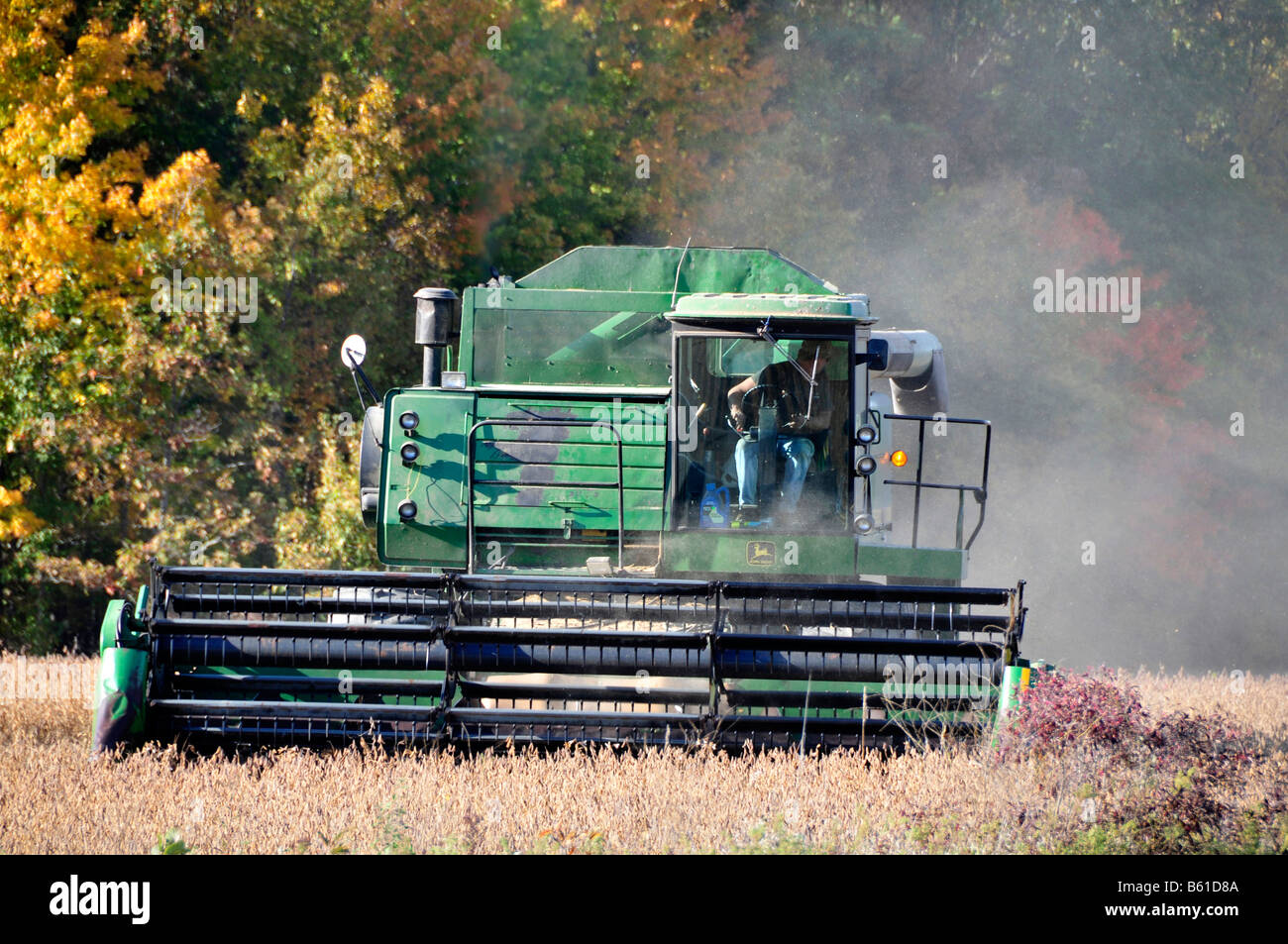 Farmer harvesting soybeans hi-res stock photography and images - Alamy