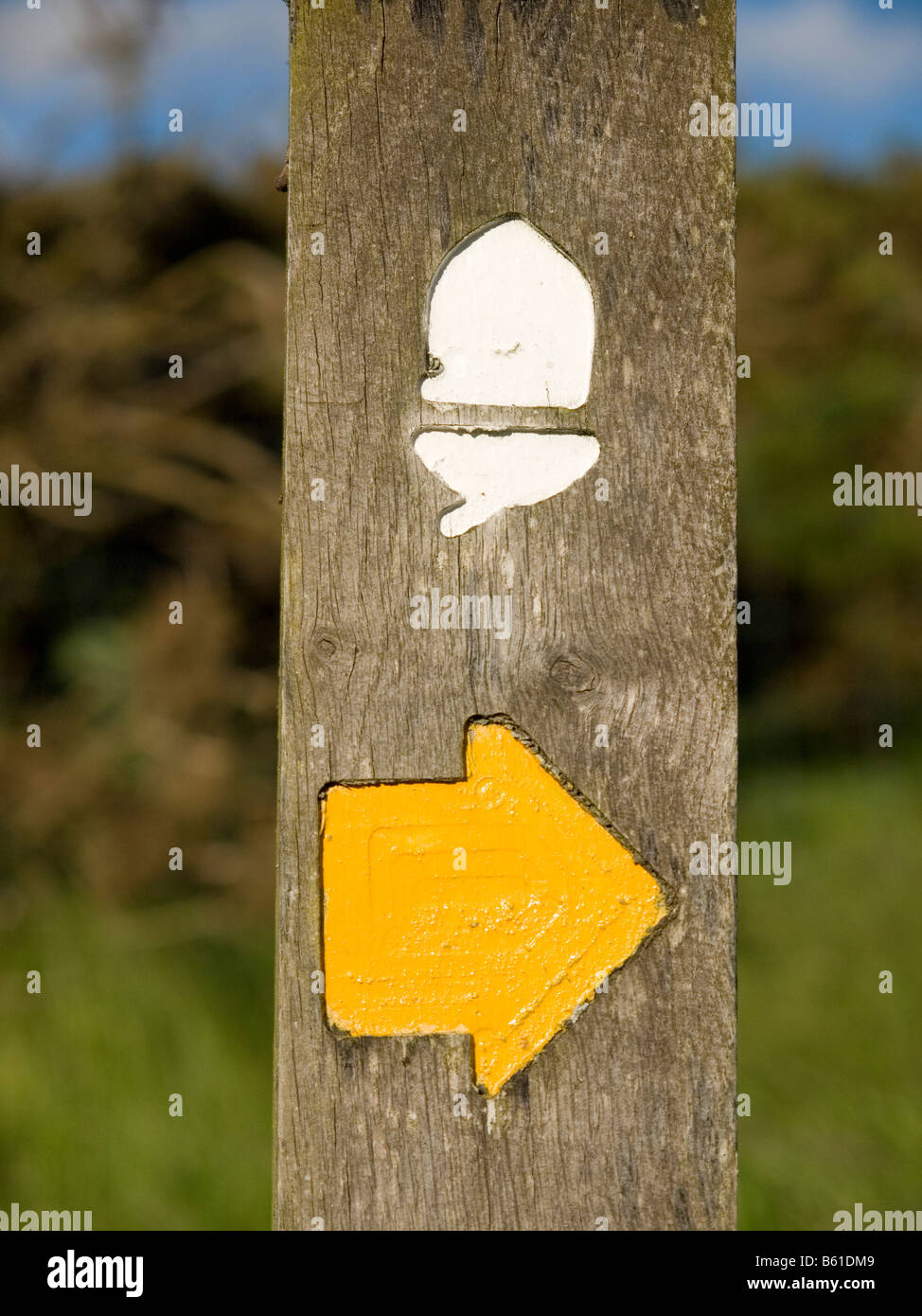 Offas dyke path sign hi-res stock photography and images - Alamy