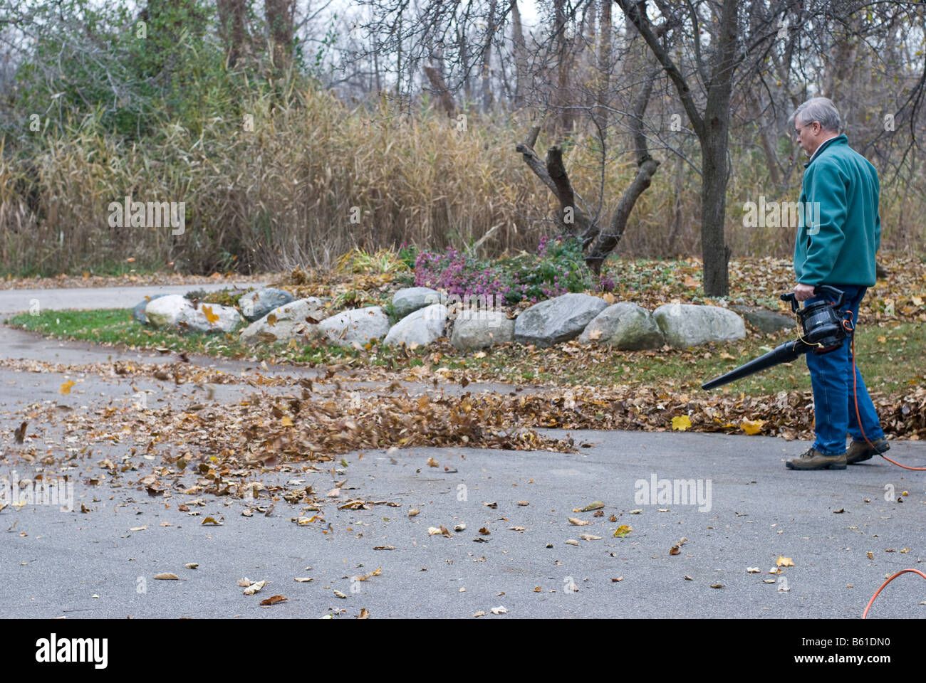 Man doing fall leaf clean up with an electric leaf blower Stock Photo ...