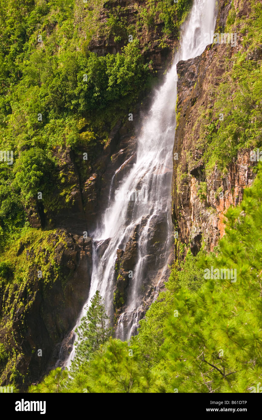 CAYO DISTRICT BELIZE Thousand Foot Falls in the lush Mountain Pine ...
