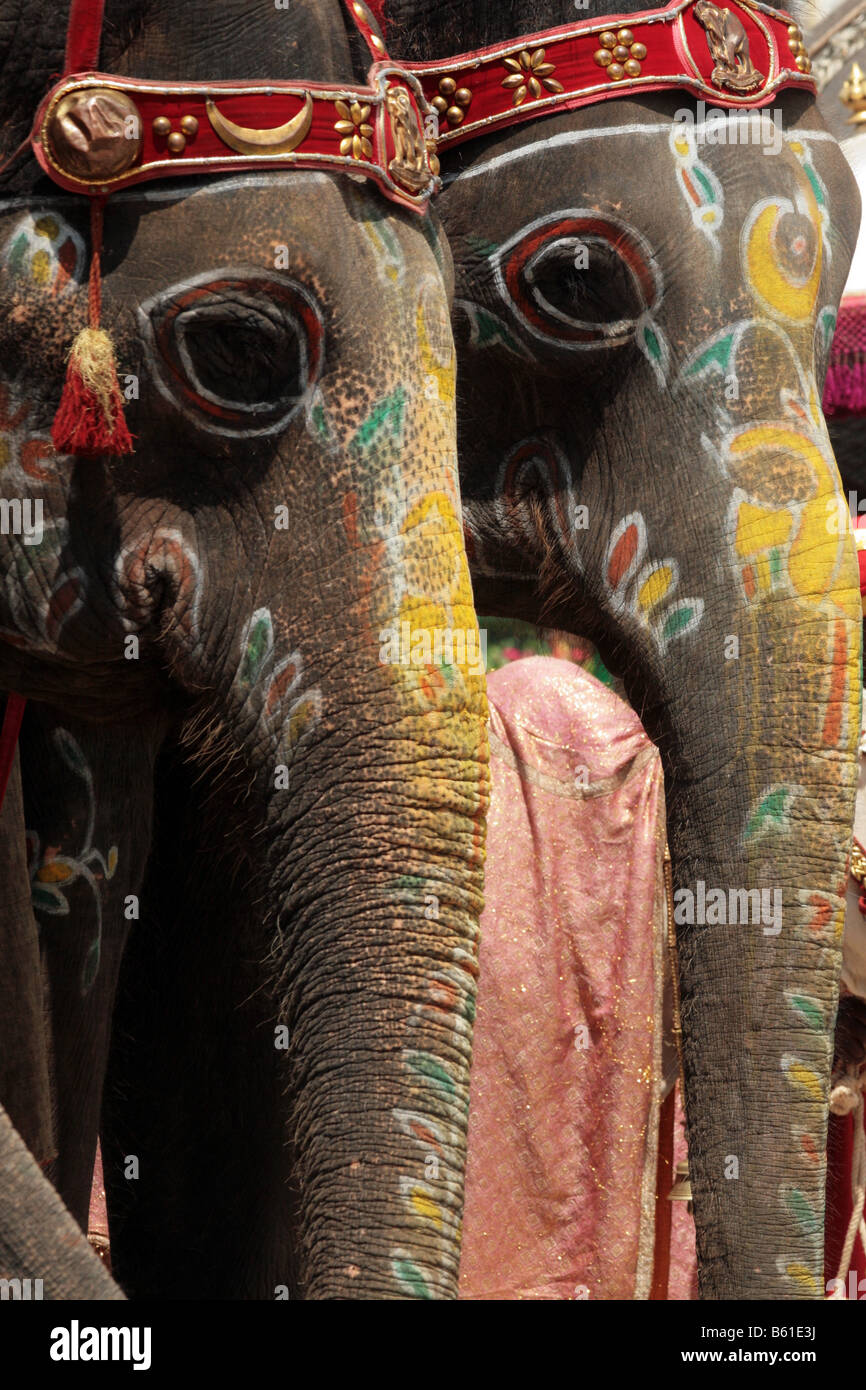 Mysore dasara elephant hi-res stock photography and images - Alamy