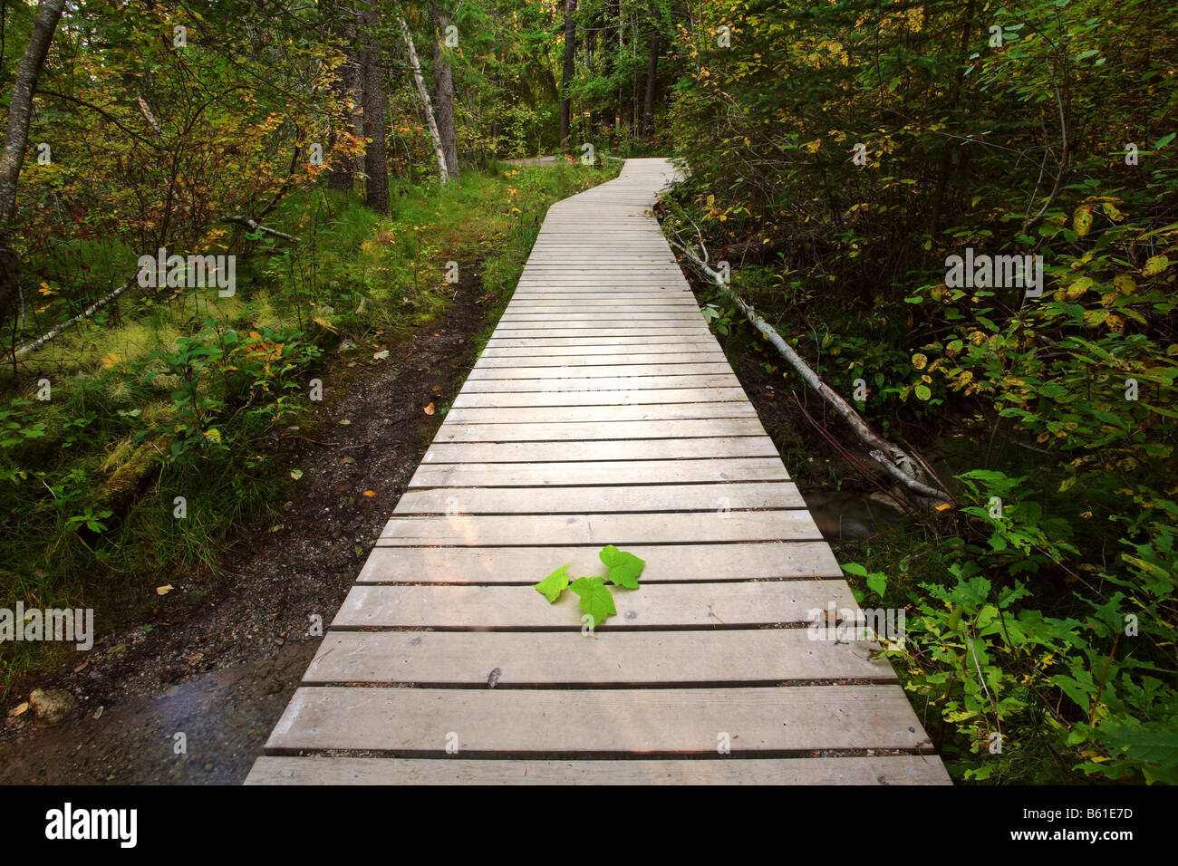 Backguard hi-res stock photography and images - Alamy