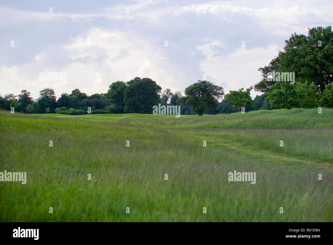 Park uk grass london hi-res stock photography and images - Alamy