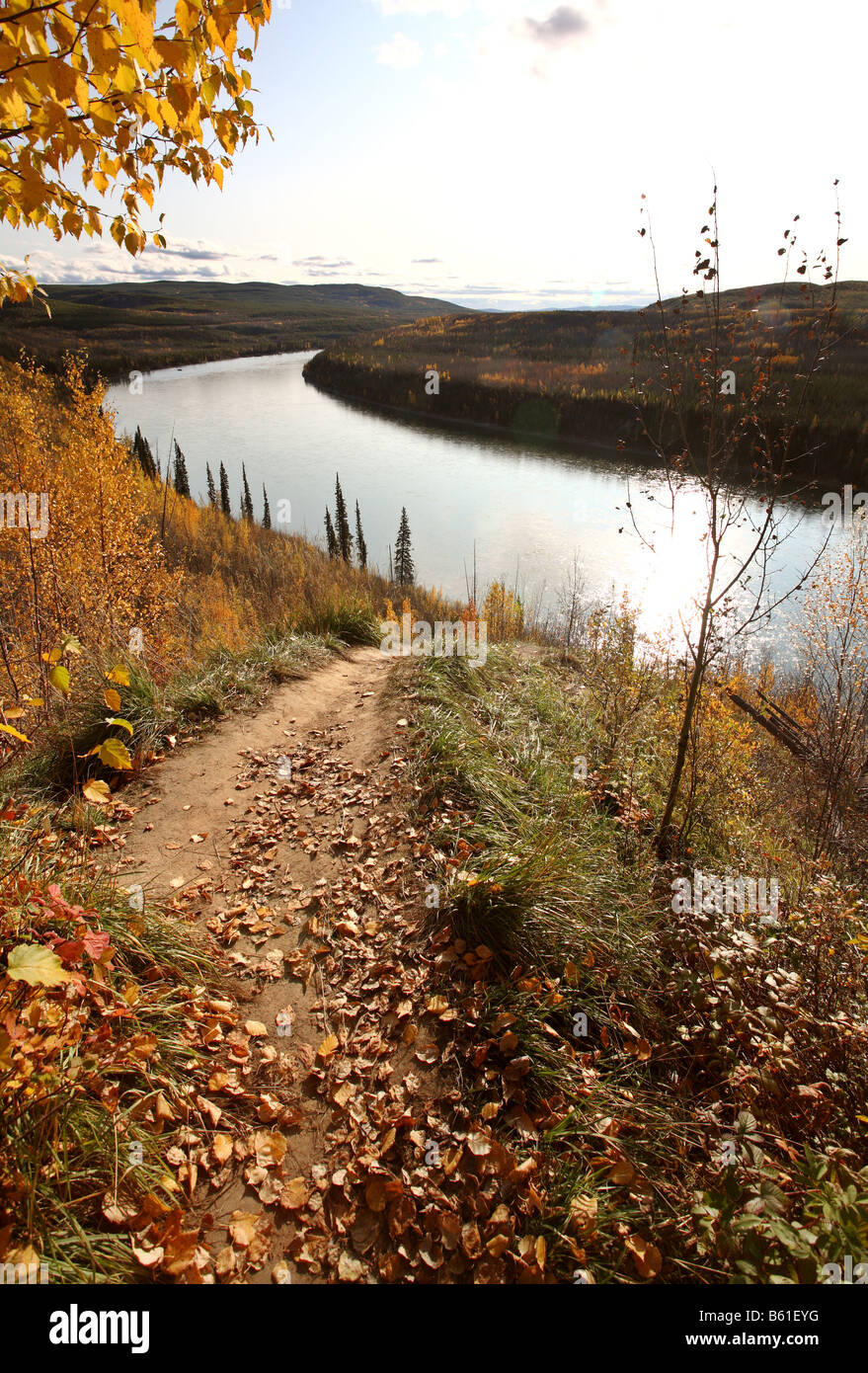 Liard River in British Columbia Stock Photo - Alamy