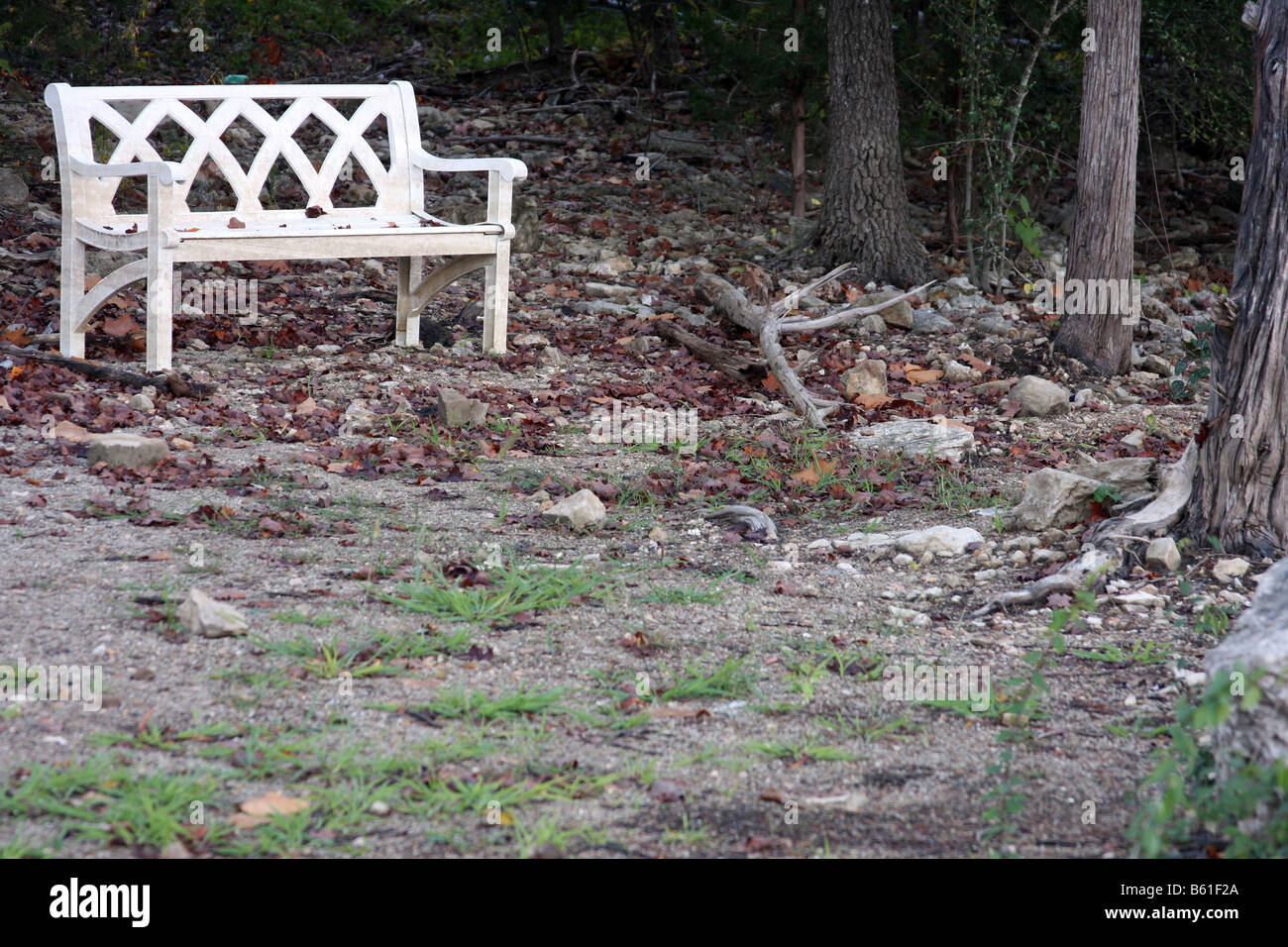 An old bench sitting among large oak trees in fall Stock Photo - Alamy