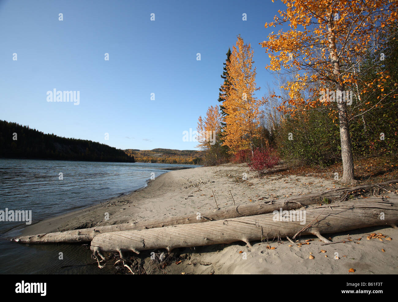 Liard River in British Columbia Stock Photo - Alamy