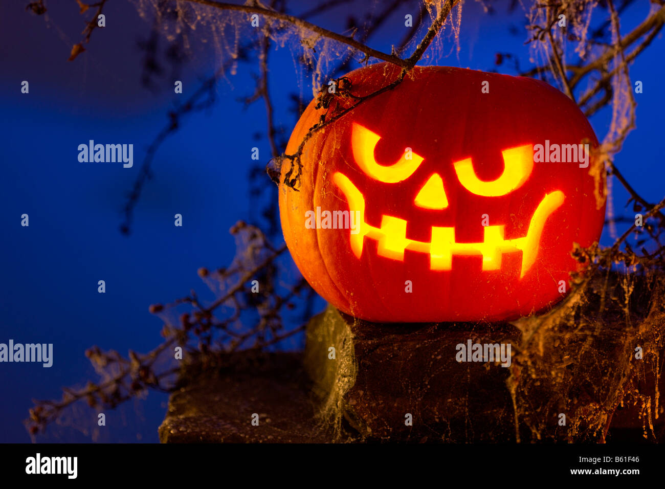 Pumpkin in a Haloween Scene Stock Photo - Alamy