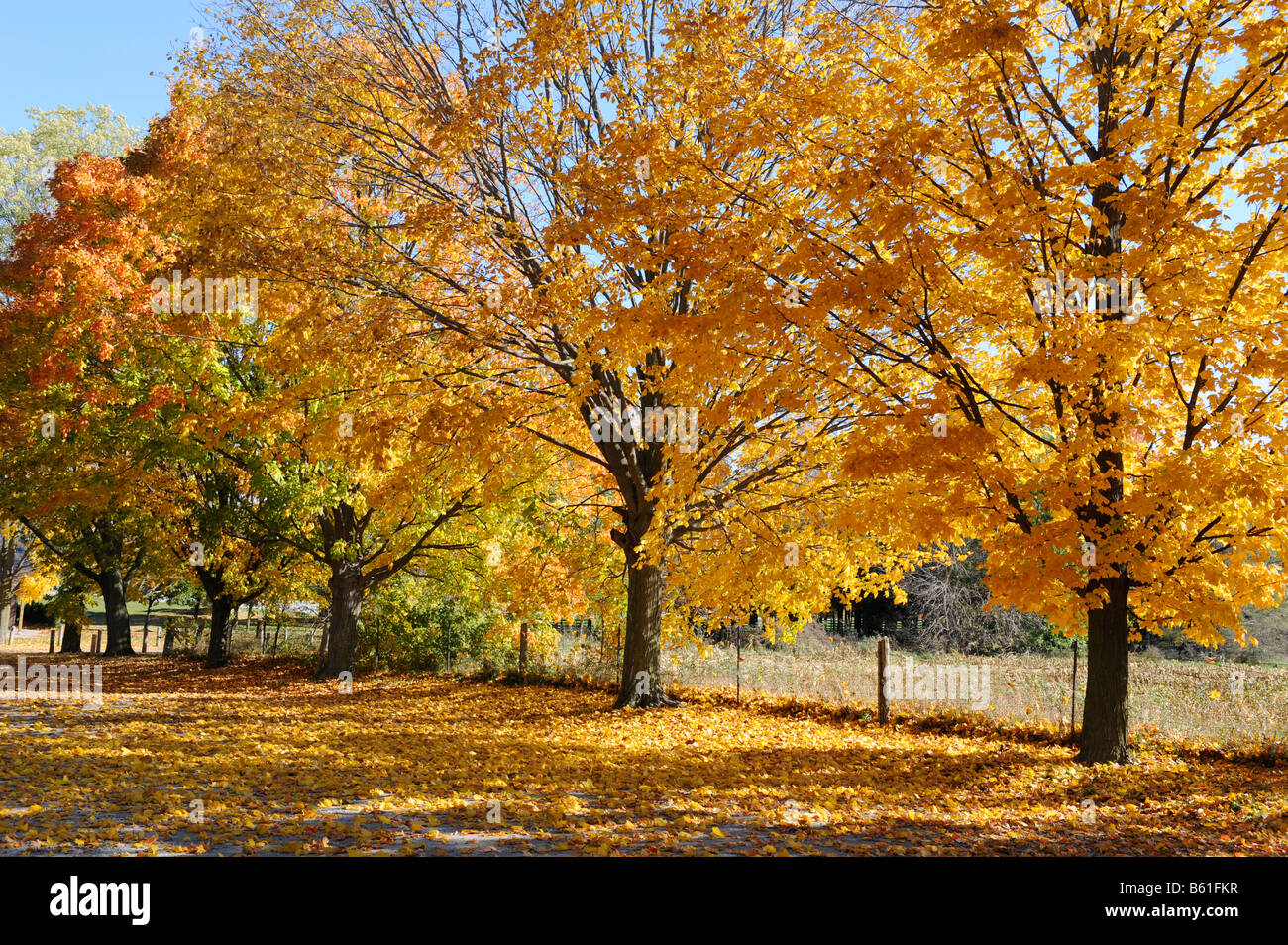 Ontario resort hi-res stock photography and images - Alamy