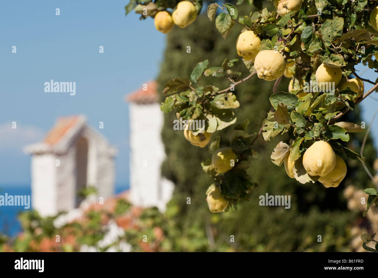 Fruit church hi-res stock photography and images - Alamy