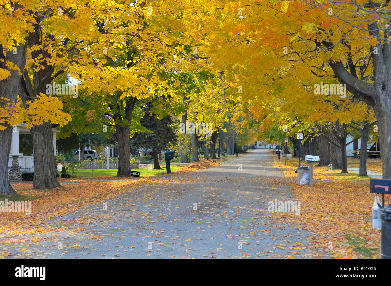 Row sequence tree hi-res stock photography and images - Alamy